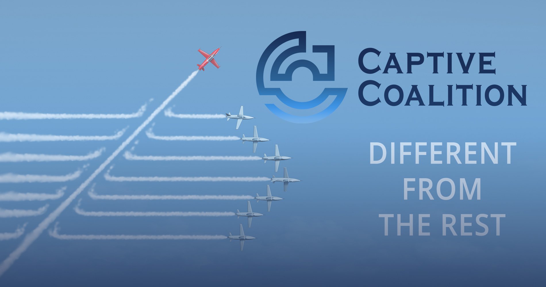 What Makes Captive Coalition Different From Everyone Else?